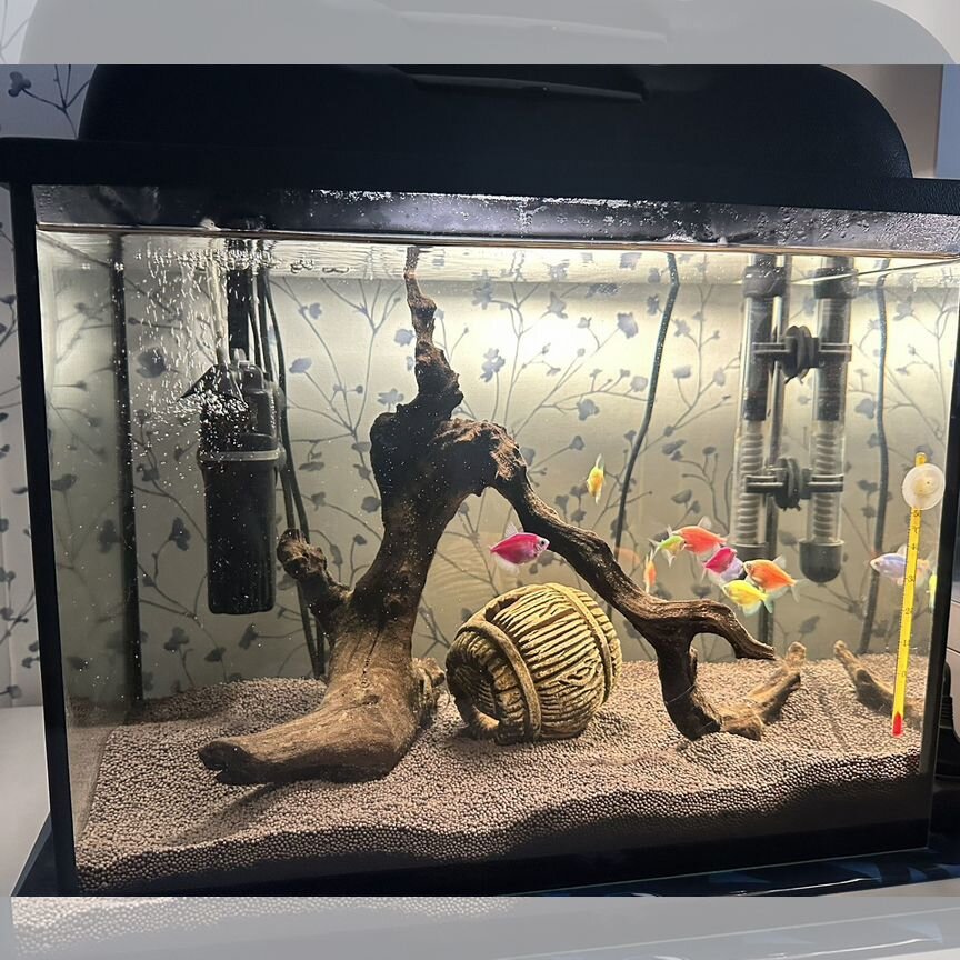 Рыбки и аквариум