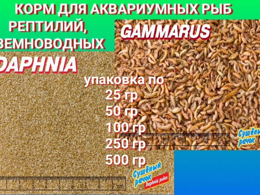 Корм для аквариумных рыбок, рептилий, земноводных