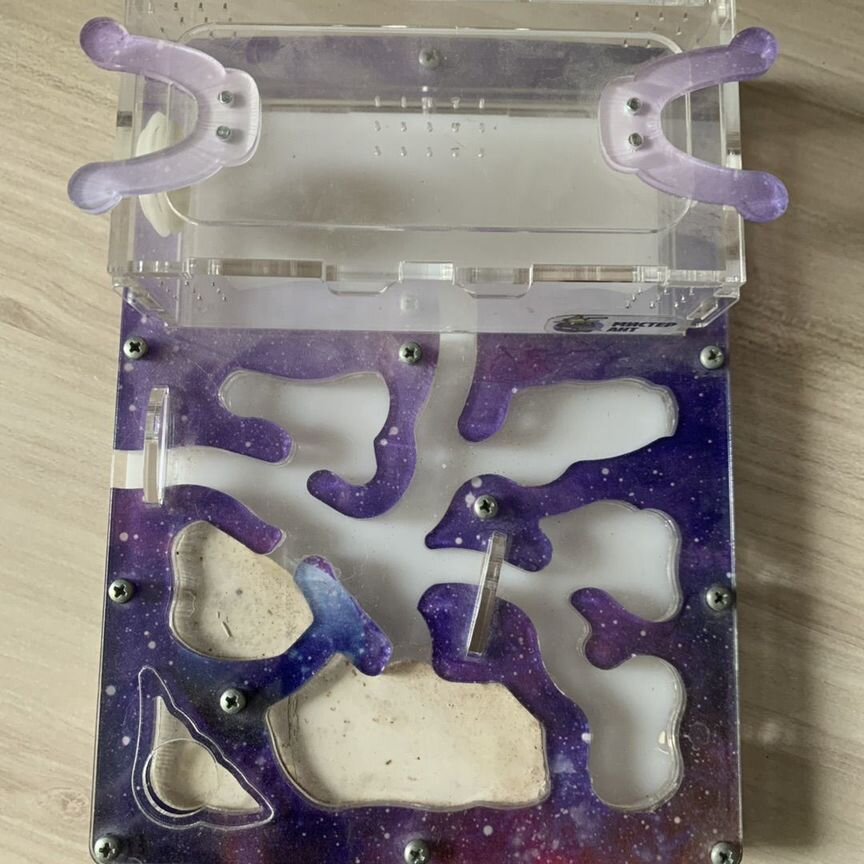 Формикарий муравьиная ферма