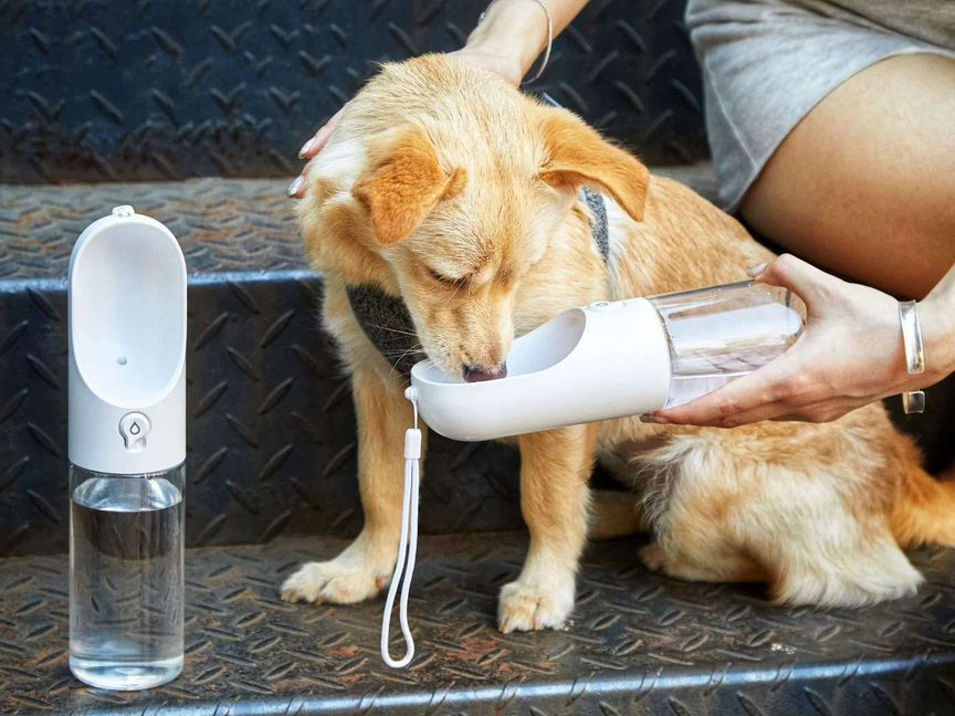 Поилку для собак xiaomi petkit eversweet