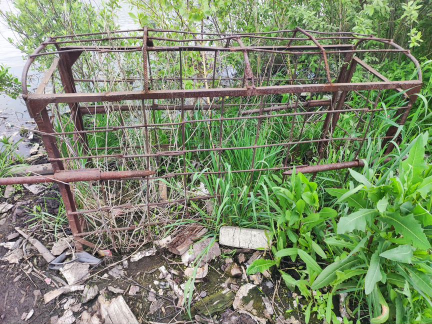 Клетка для свиней