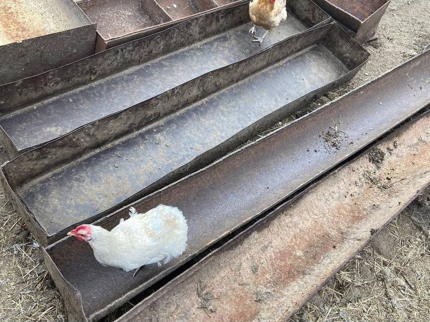 Кормушки/поилки для крс,свиней, овец