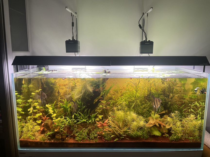 Аквариум с тумбой 300 литров