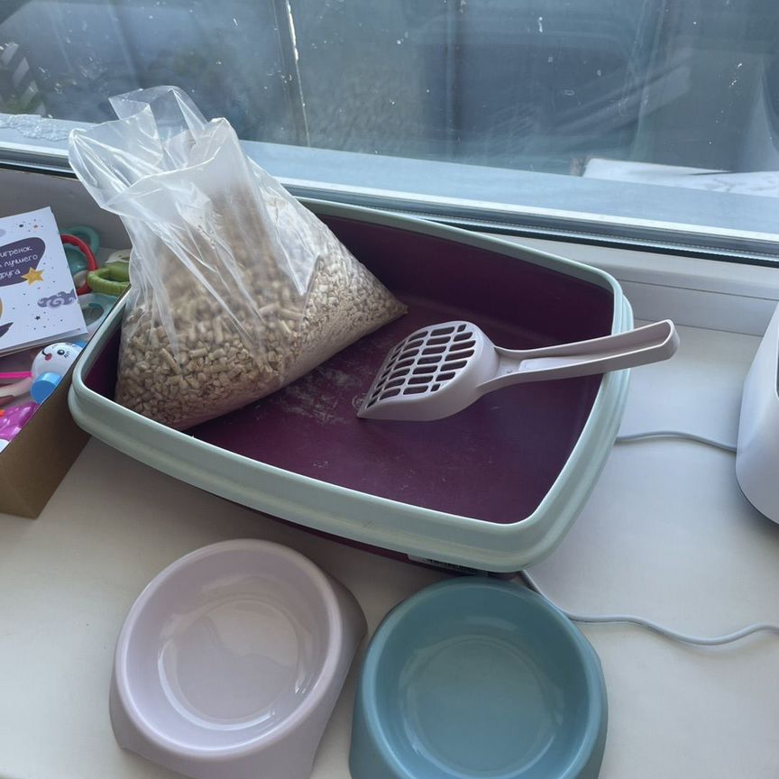 Лоток, миски, наполнитель