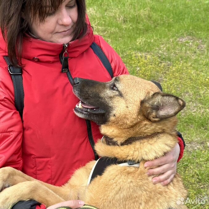 Замечательный не крупный рыжик