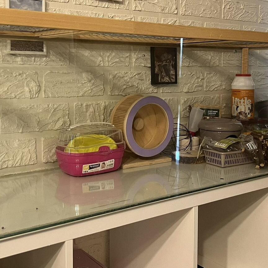 Все для грызунов