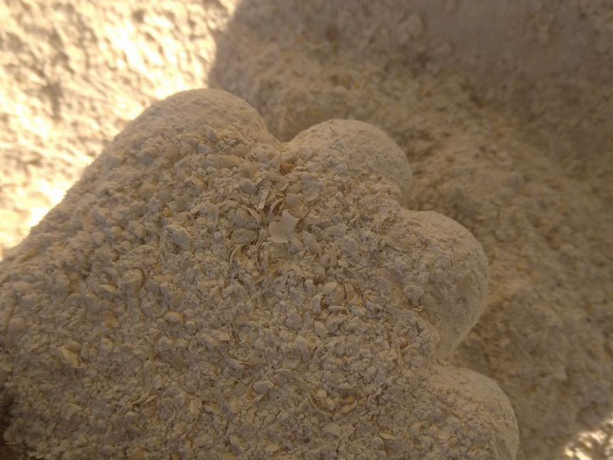 Гороховая мучка на корм животным