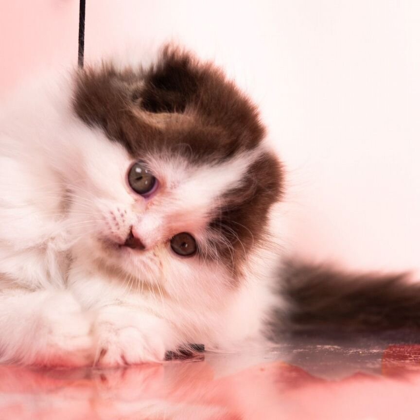 Нежное облачко любви и позитива