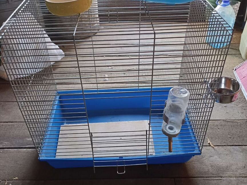 Клетка для грызунов большая