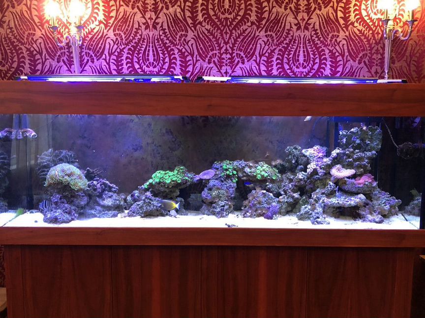 Морской аквариум с тумбой