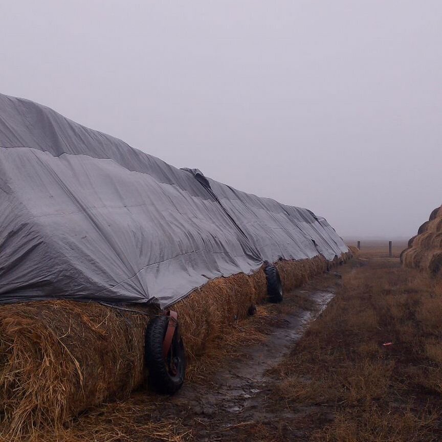Сено суданки в рулонах 2024
