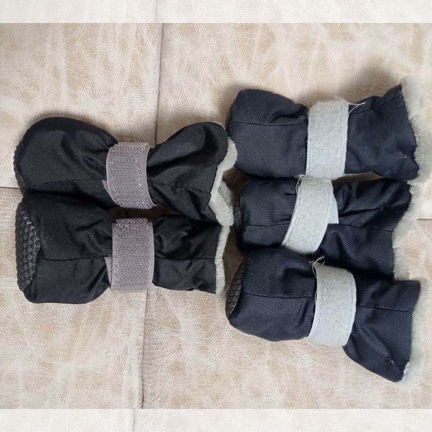 Ботиночки для собак мелких пород