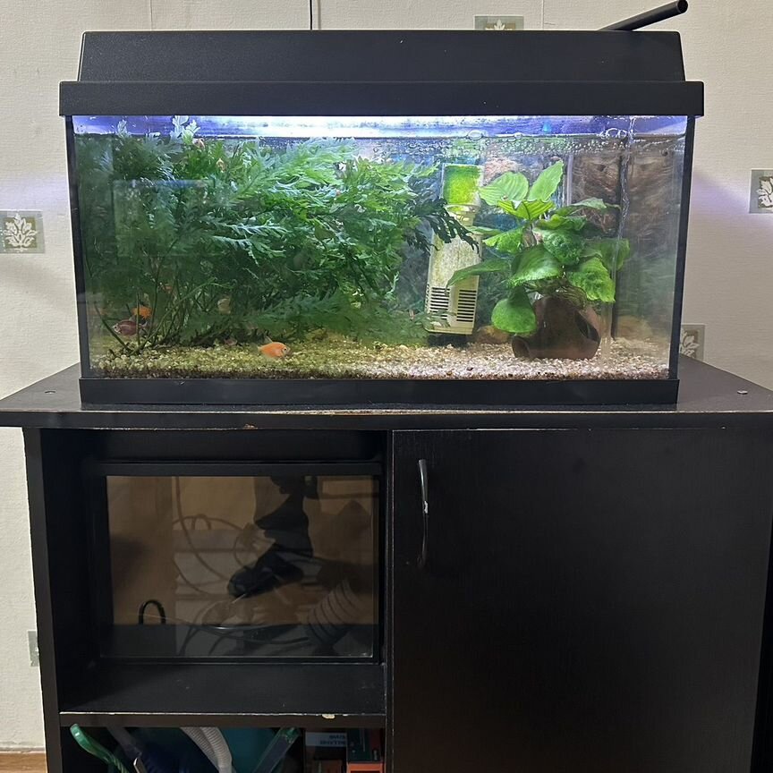 Аквариум 70 литров пустой с тумбой
