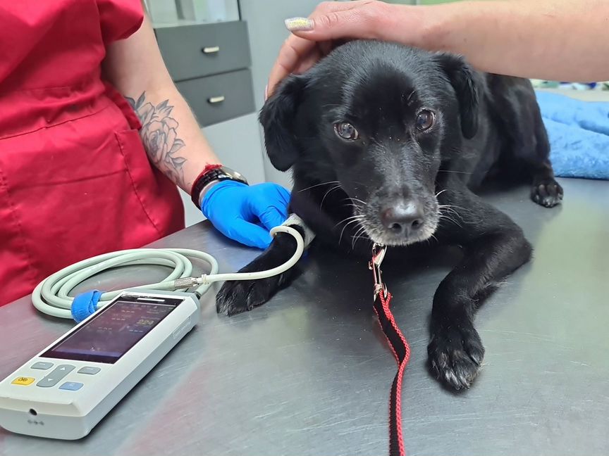 Дружище в руки ответственных и надёжных людей