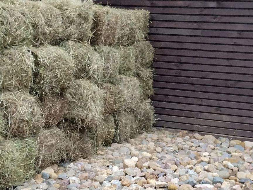 Сено,укос 2023 год