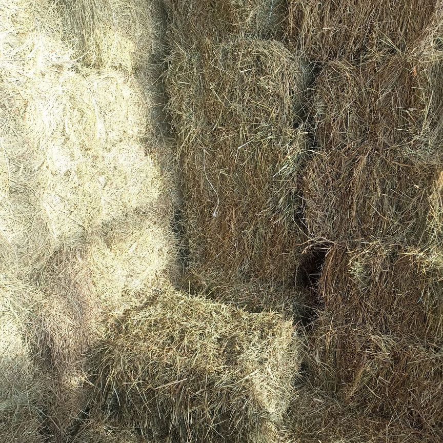 Сено в тюках