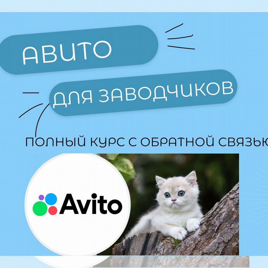 Авито для заводчиков