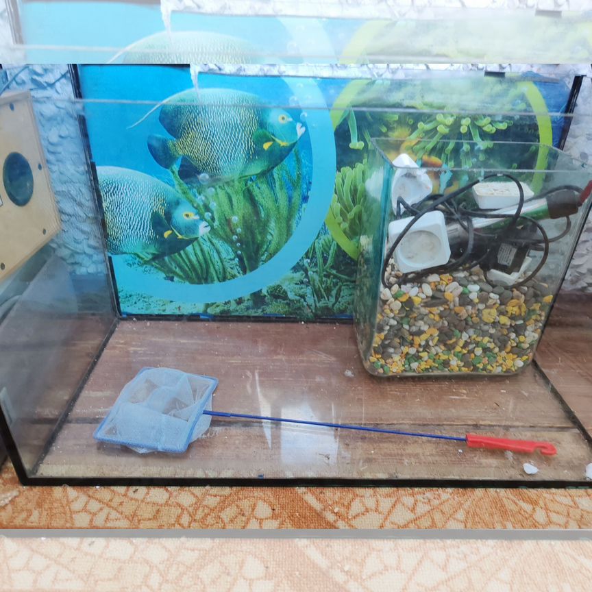 Аквариум 60 литров