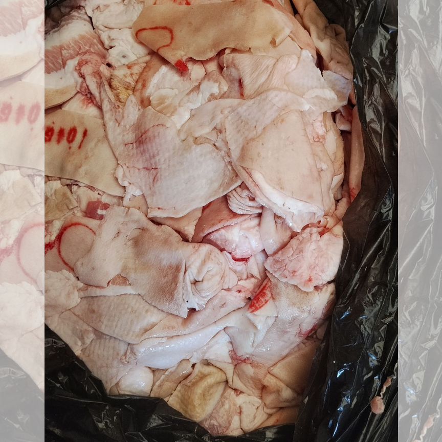 Корм для животных