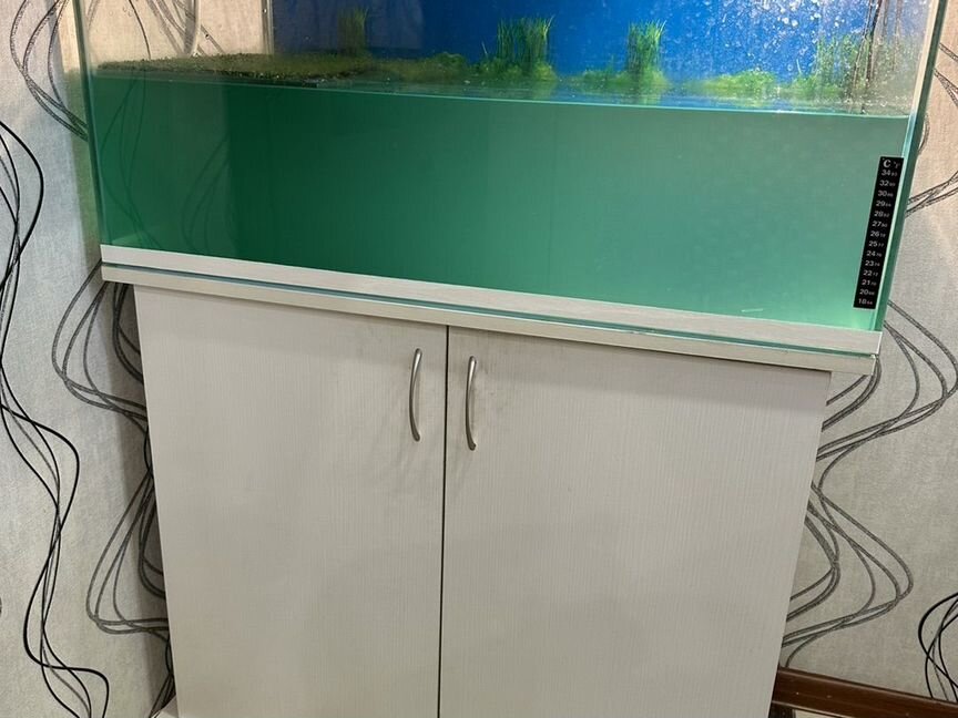 Террариум для красноухой черепахи