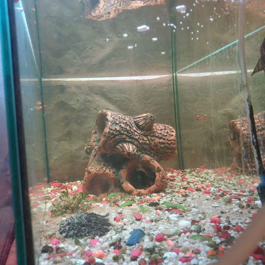 Аквариум Аquael