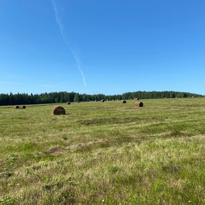 Сено