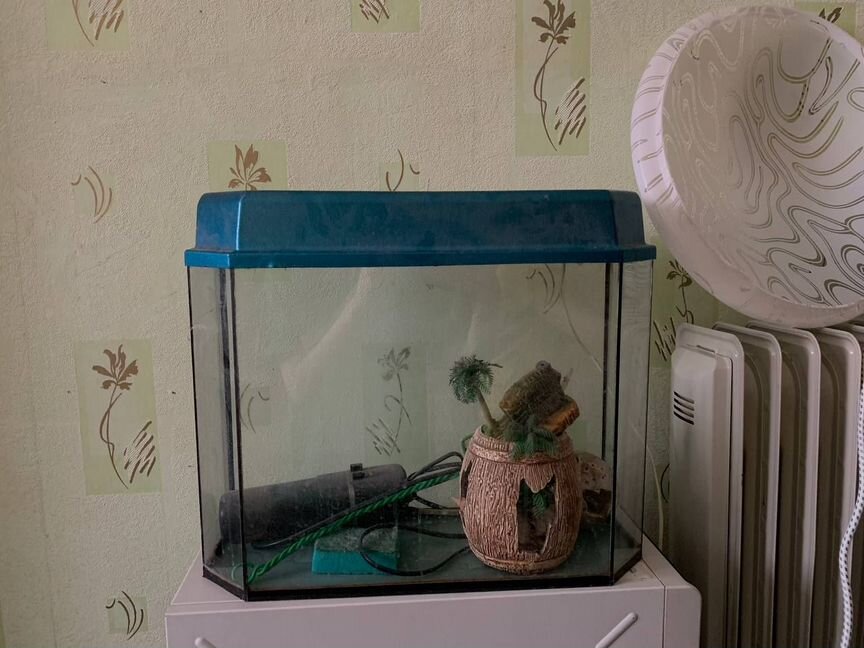 Аквариум с компрессором