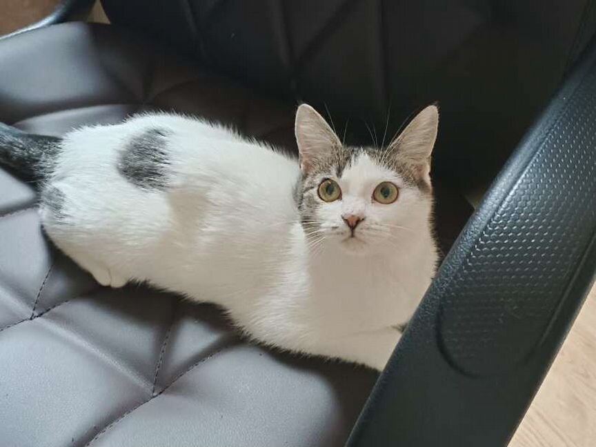 Я ищу семью