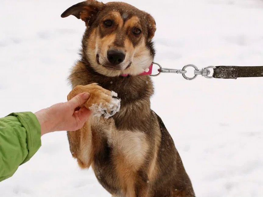 Излучающая добро и позитив. Эва