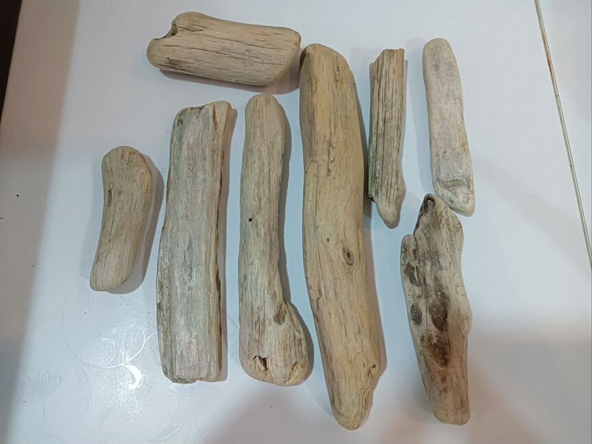 Коряги дрифтвуд