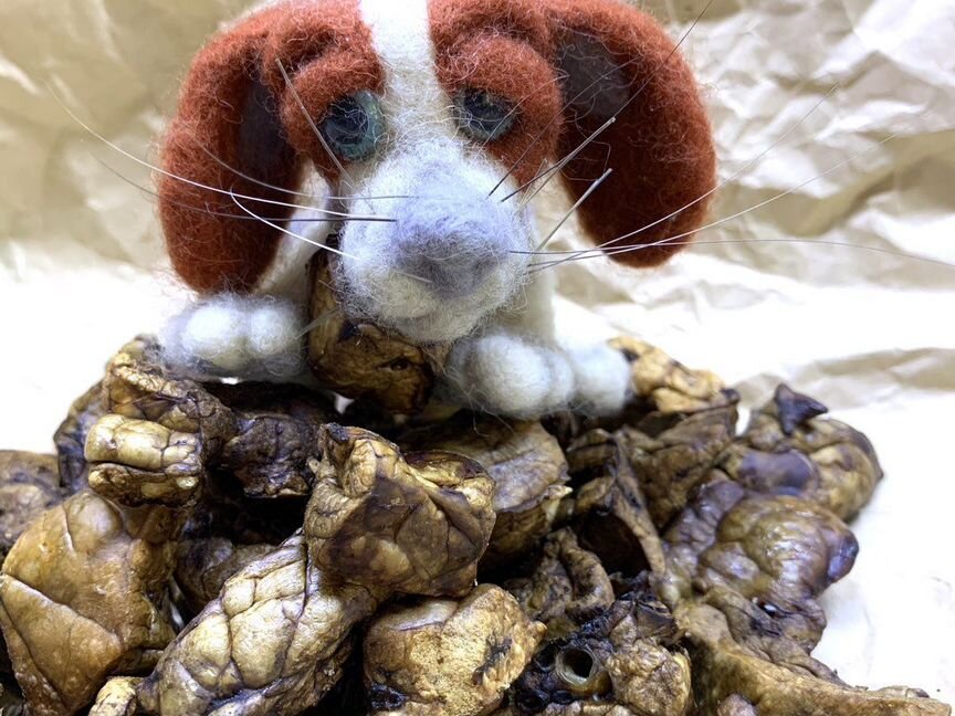 Легкое говяжье сушеное лакомство для собак