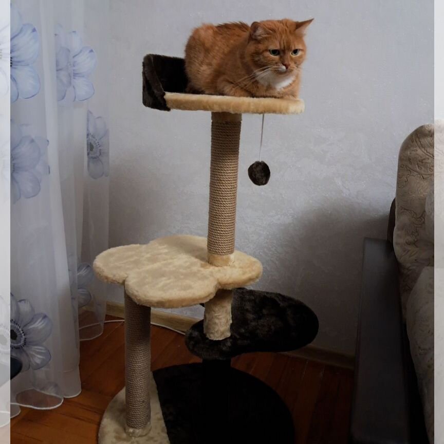 Домик когтеточка