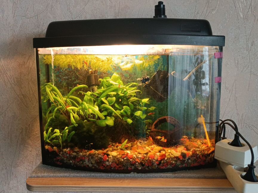 Аквариум 35 литров