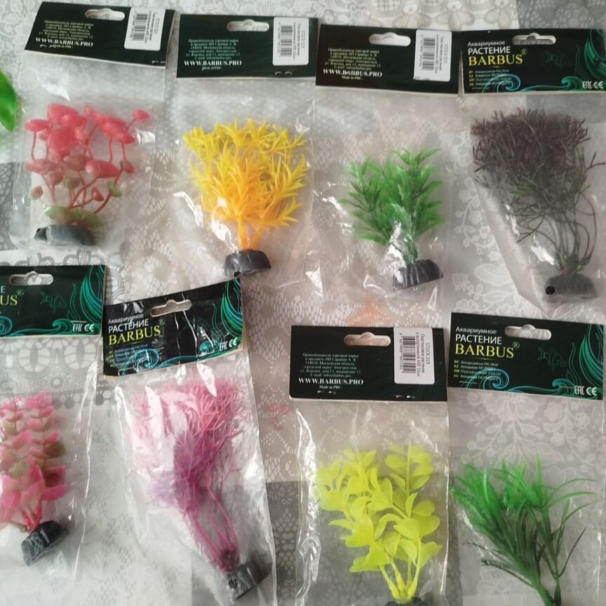 Водоросли декоративные