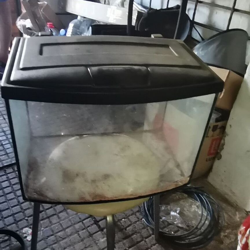 Аквариум для улиток