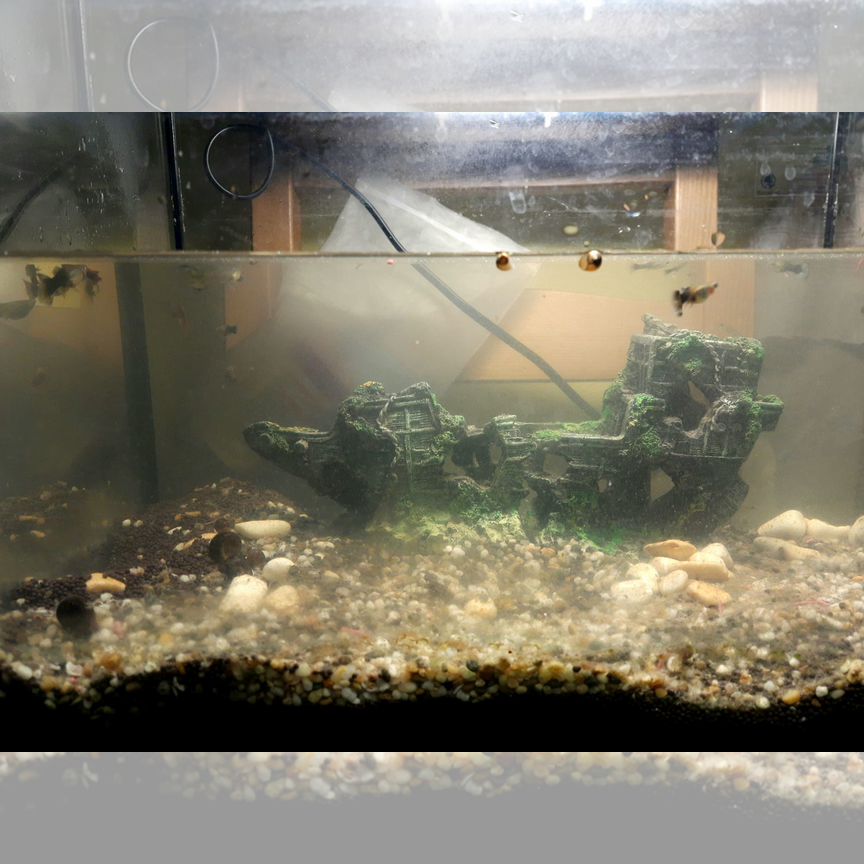 2 Аквариума с рыбками