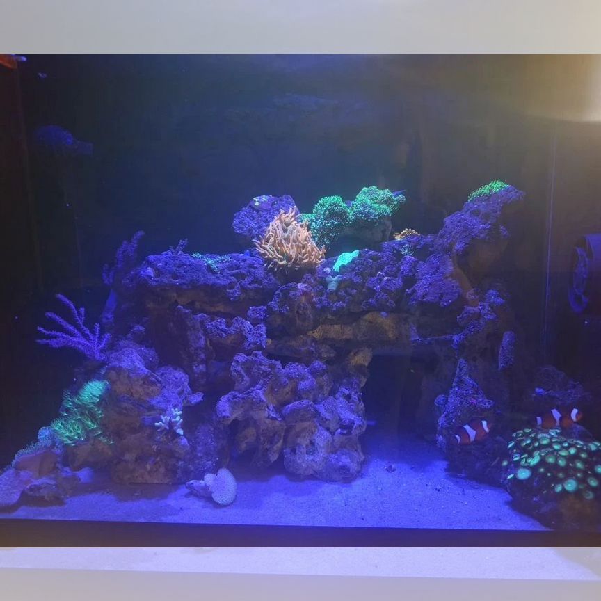 Морской аквариум