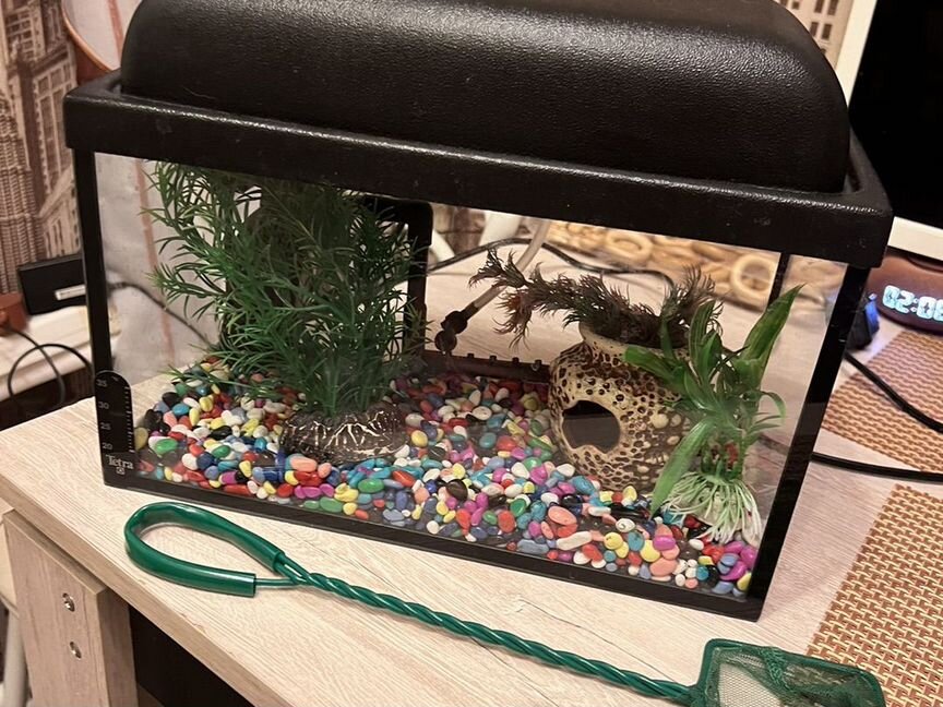 Аквариум с лампой