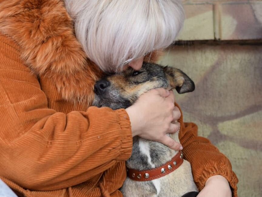 Собака -обнимака в добрые руки