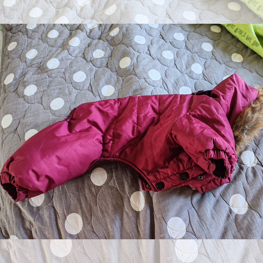 Костюм для собак, зимний