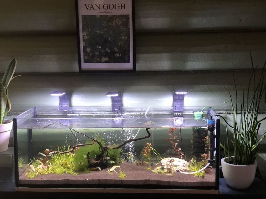 Аквариум с рыбками