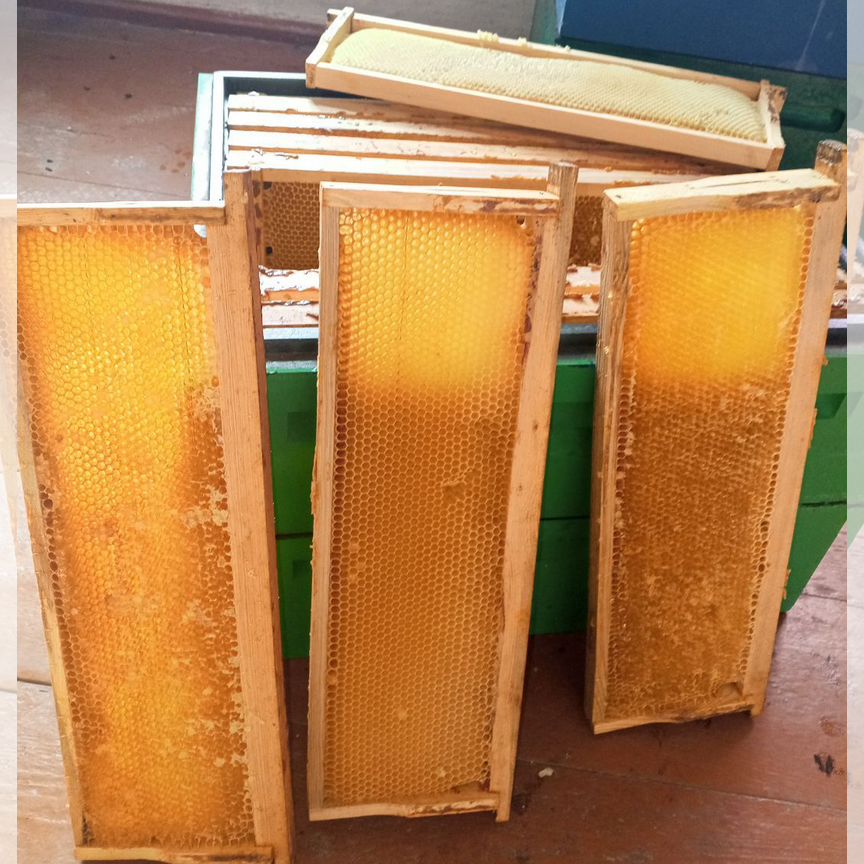 Суш полурамка 145