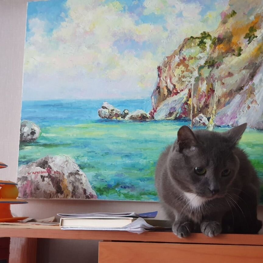 Британский котик