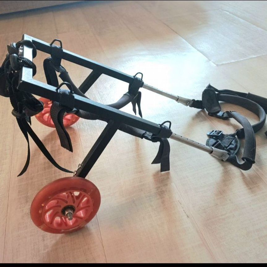 Инвалидная коляска для мелких собак