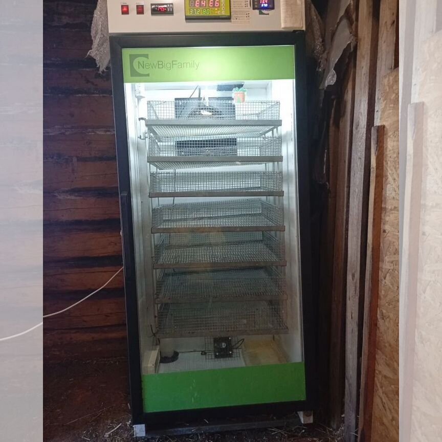 Инкубатор для яиц автоматический