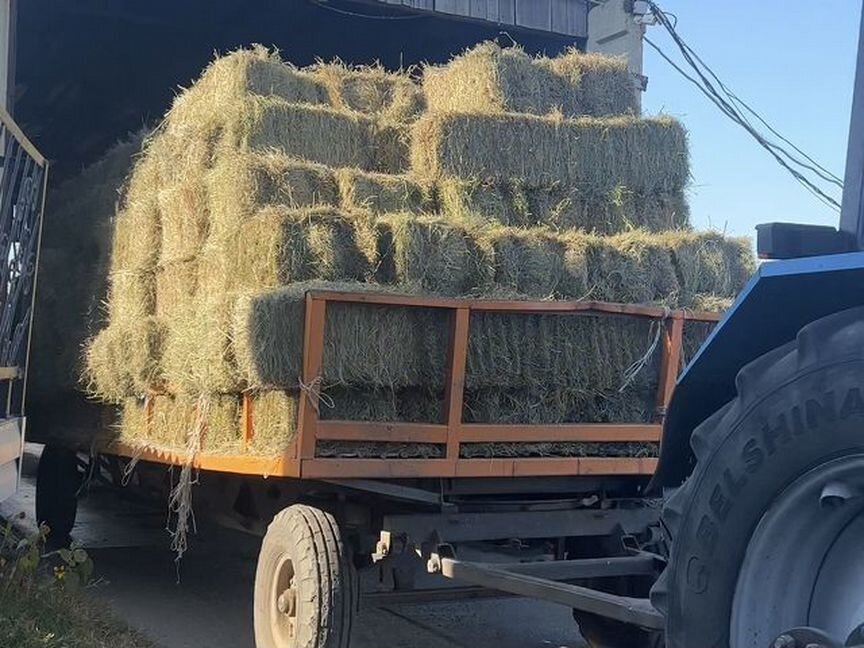 Сено луговое в тюках бесплатная доставка