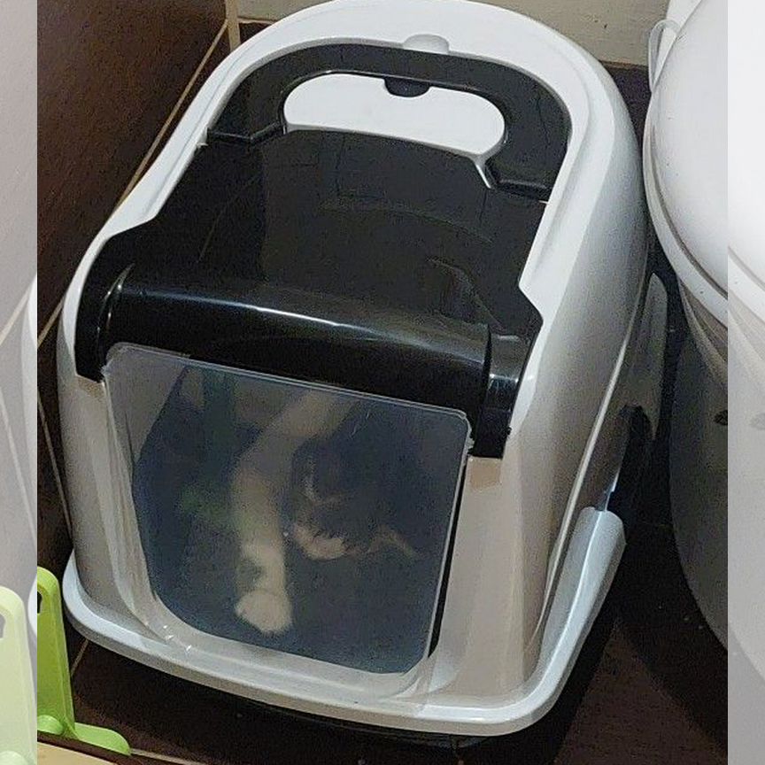 Закрытый лоток для кошек большой