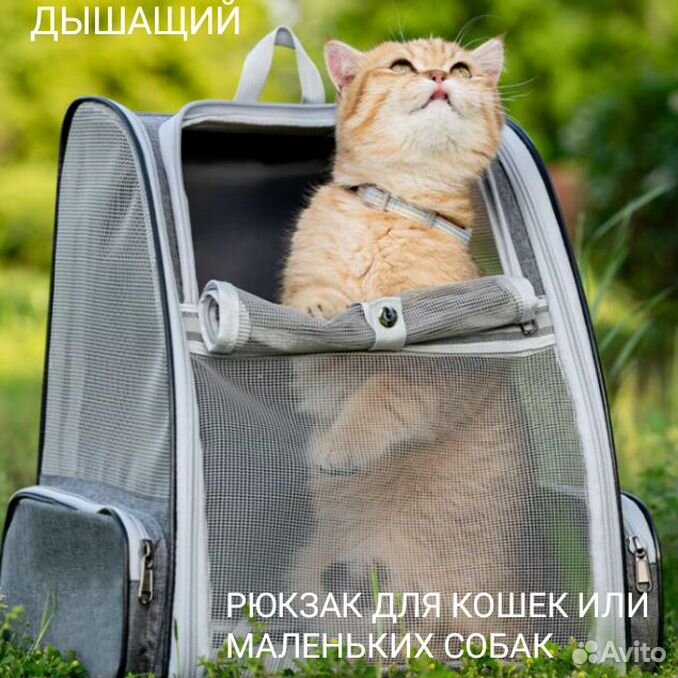 Рюкзак дышащий для кошек или маленьких собак