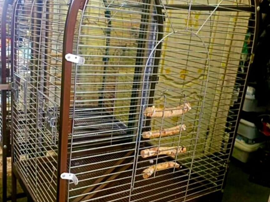 Большая клетка для птиц с удобными кормушками