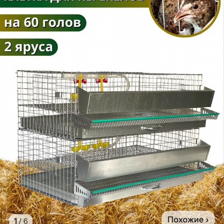 Клетка 2 яруса